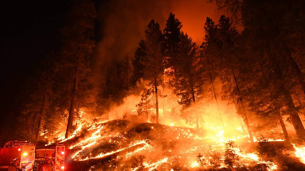 Song of the Day: Cry Cry Cry – Cold Missouri Waters – the needlefish