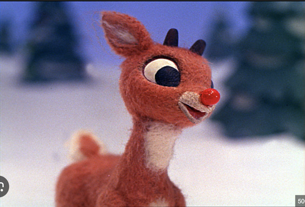 F’ing Rudolph – the needlefish